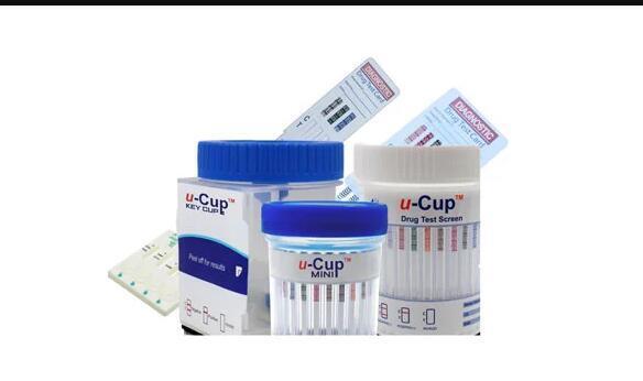 Prometheus One-stop in Vitro Diagnostic Services & Products: prometheusbio